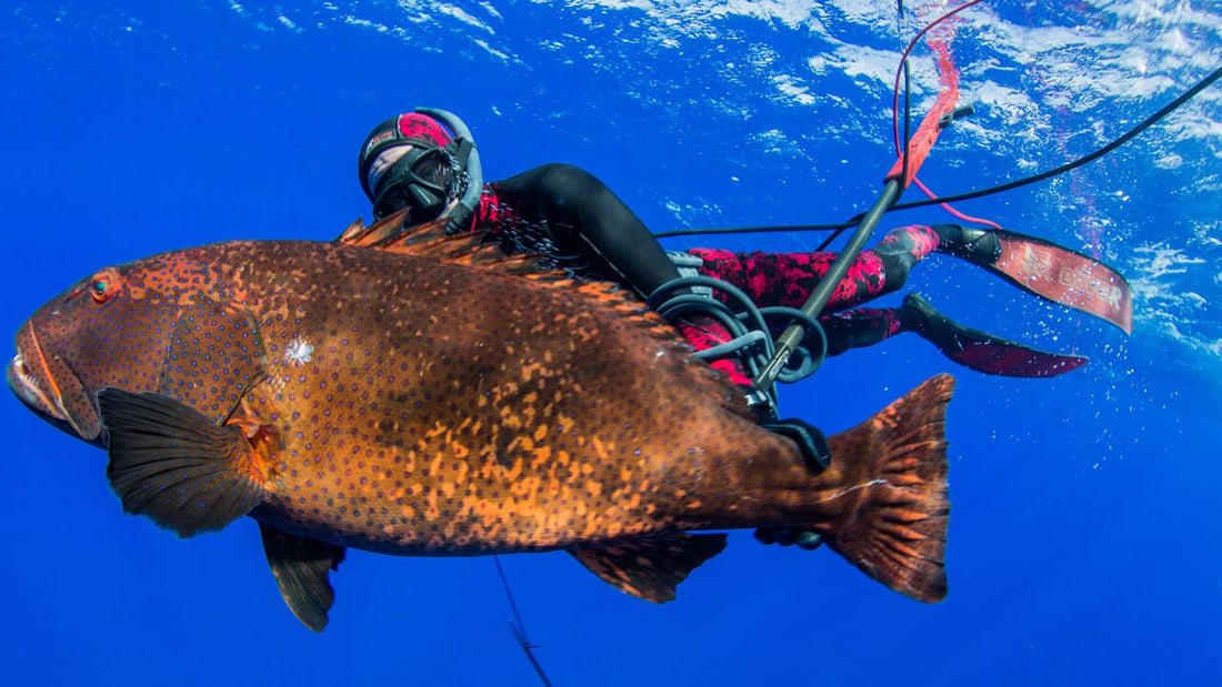 Spearguns, Spearfishing, Freediving equipment & products - Spear Gods
